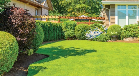 Happy Valley Lawn Care - Happy Valley Landscapers